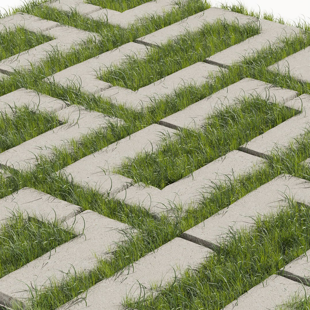 3D Collection Plant Vol 397 - Grass - Concrete - Tileable - TurboSquid 1973344