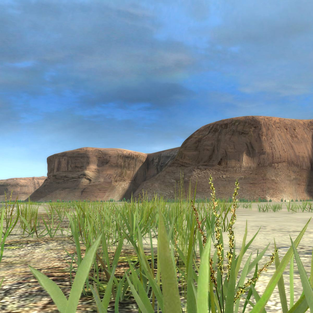 3d model scene road desert complete