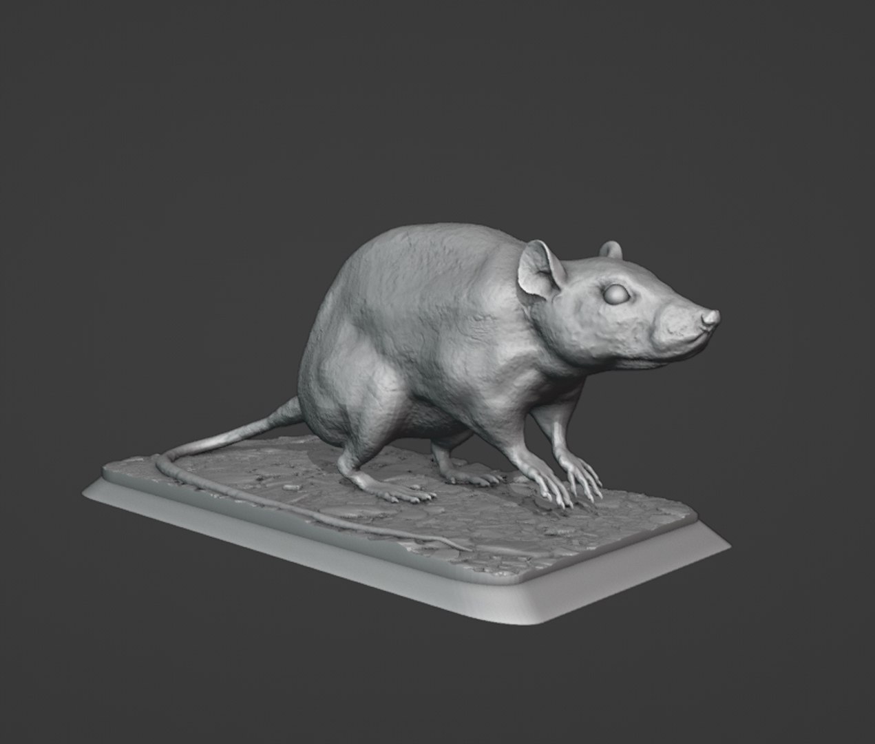 Rat 3D - TurboSquid 2146680