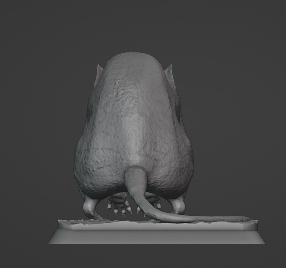 Rat 3D - TurboSquid 2146680