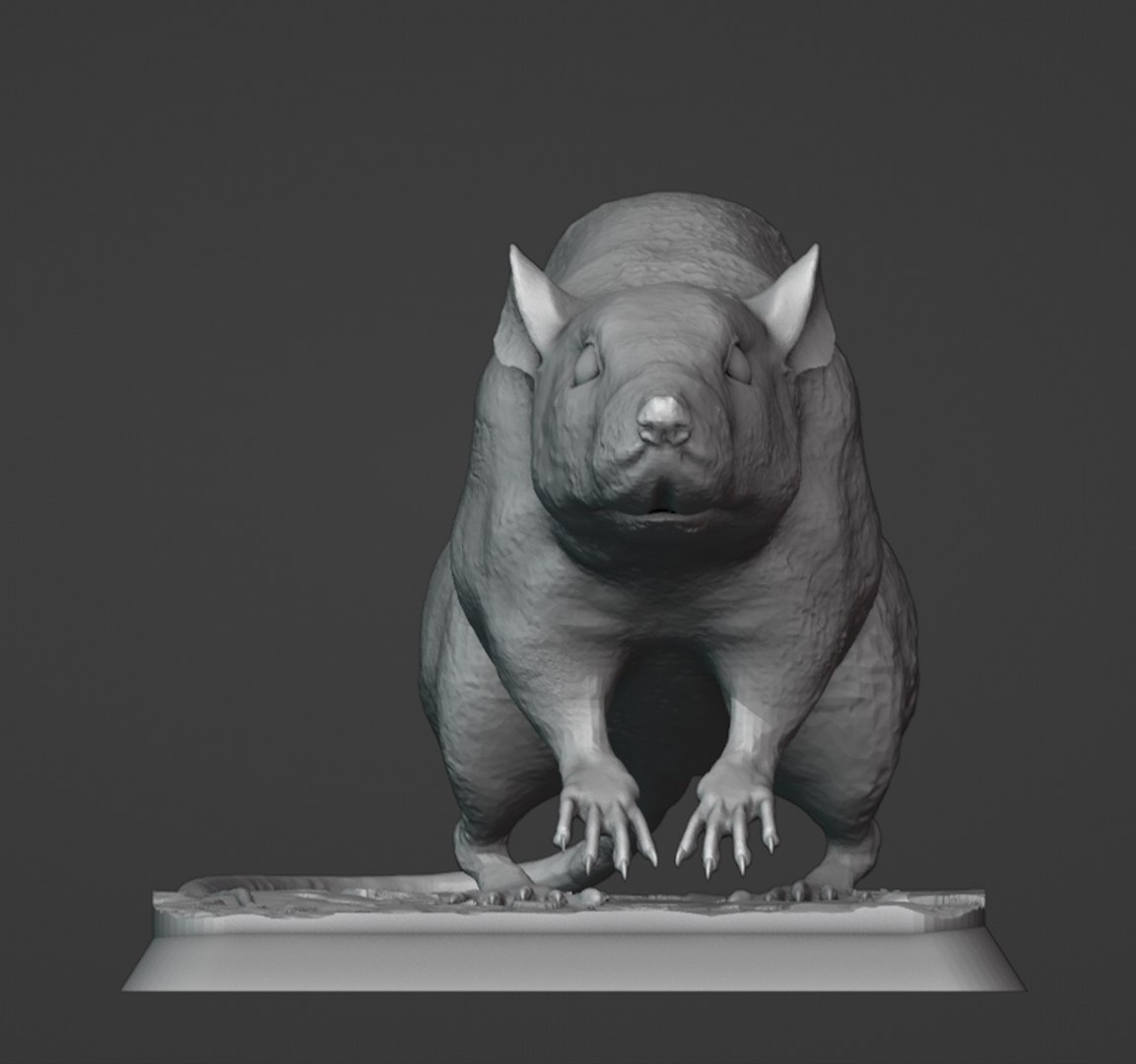 Rat 3D - TurboSquid 2146680