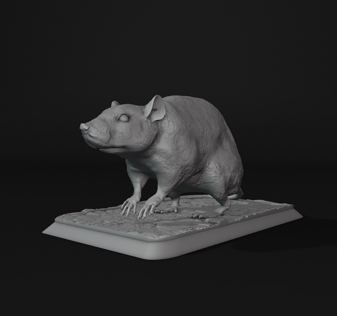 Rat 3D - TurboSquid 2146680