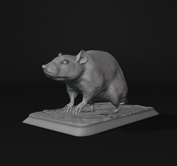 modelo 3d Rata - TurboSquid 2146680