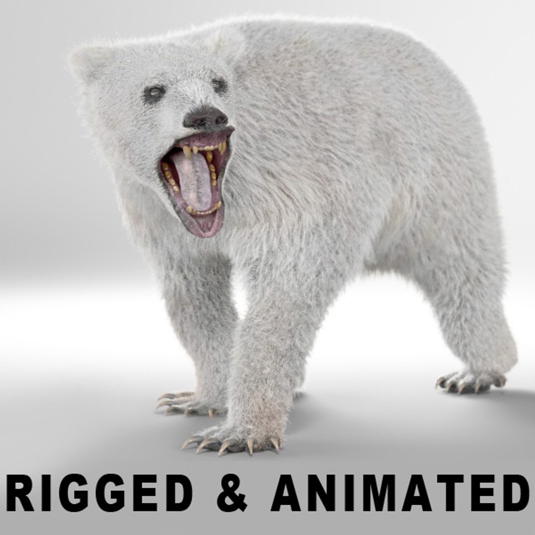 3d Model - Rigged Animation