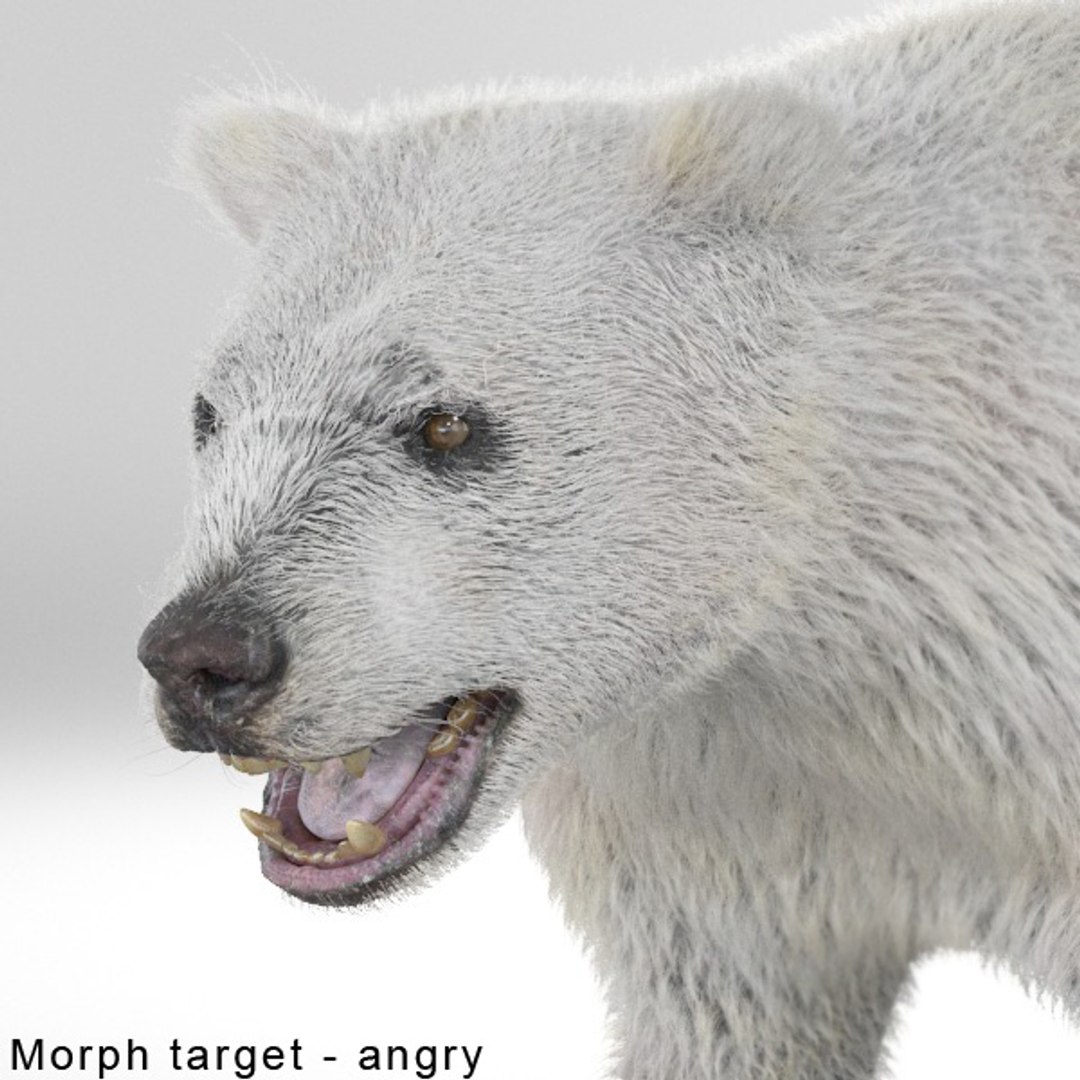 3d Model - Rigged Animation