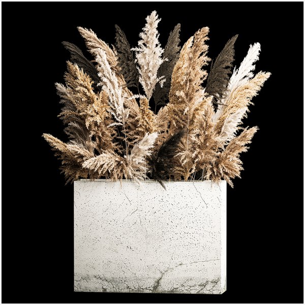 Deorative Bouquet In A Concrete Vase Of Dry Reeds 3D - TurboSquid 1935637