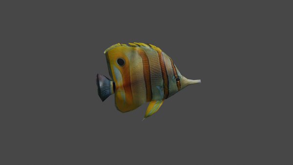 Free 3D Fish Models | TurboSquid