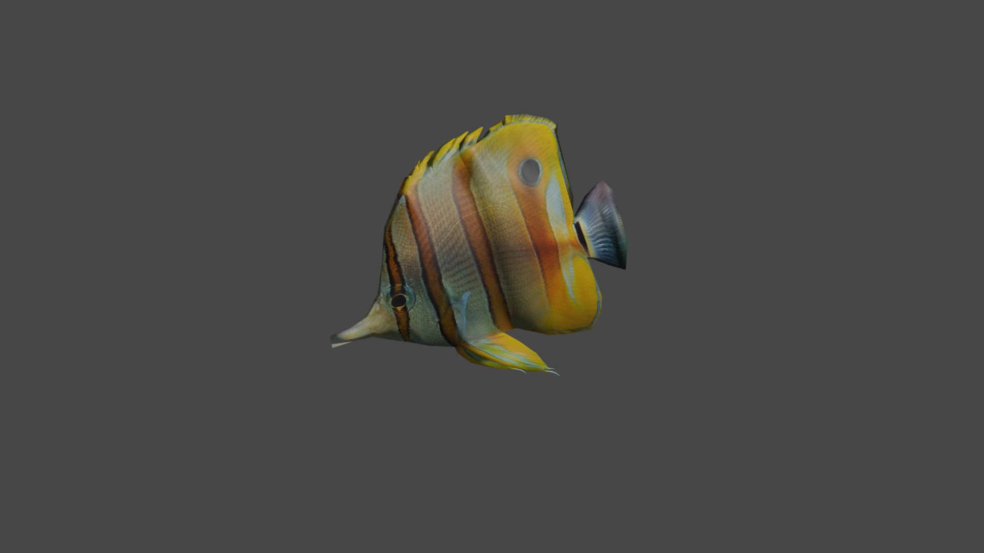 Free Fish 3D Model - TurboSquid 2036024