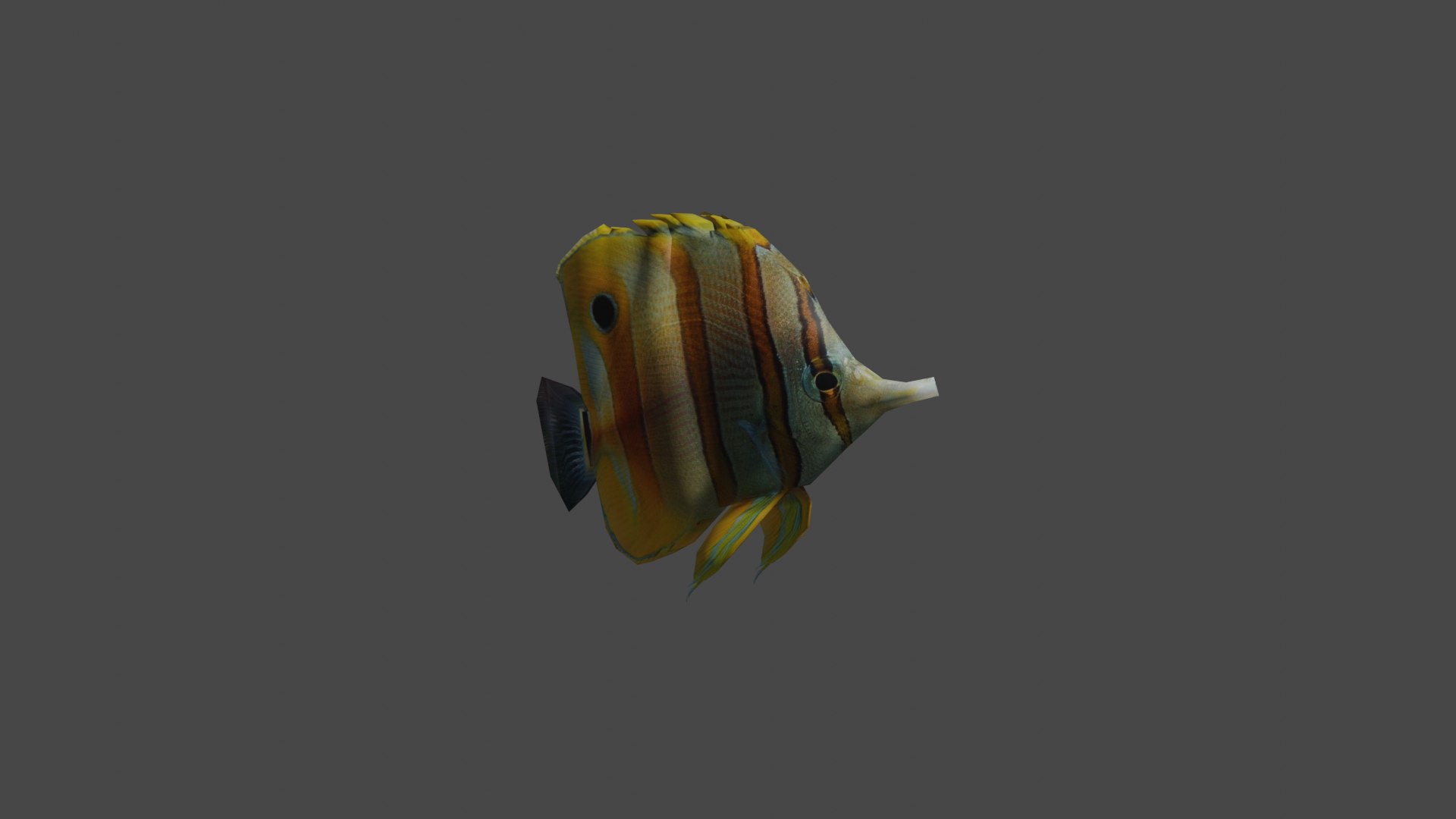 Free Fish 3D Model - TurboSquid 2036024