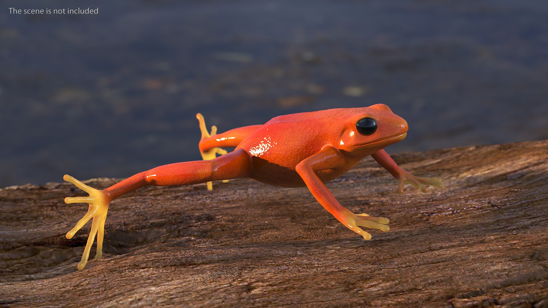Realistic Golden Frog Model - TurboSquid 2280694