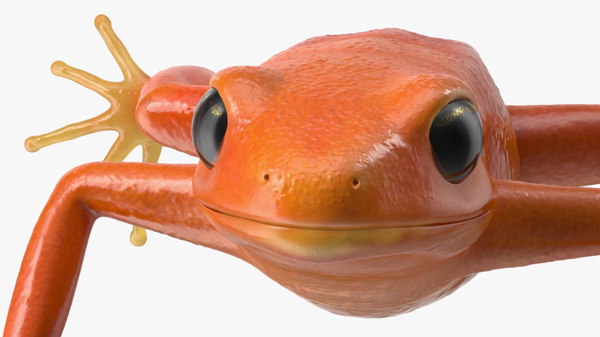 Realistic Golden Frog Model - TurboSquid 2280694