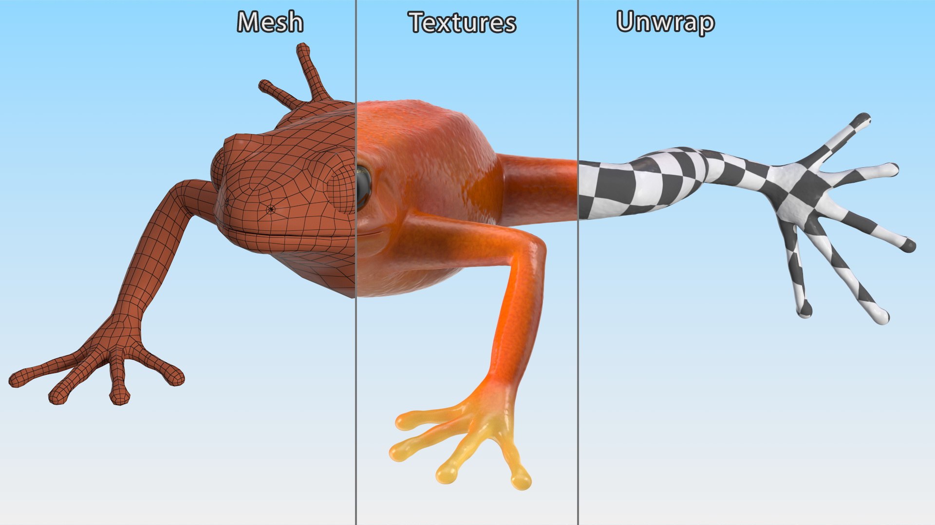 Realistic Golden Frog Model - TurboSquid 2280694