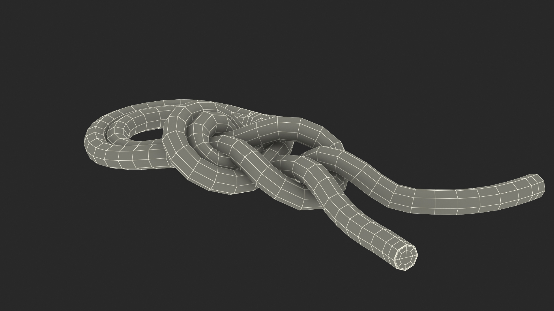 Bowline Bight Knot Rope Line Model - TurboSquid 1651257