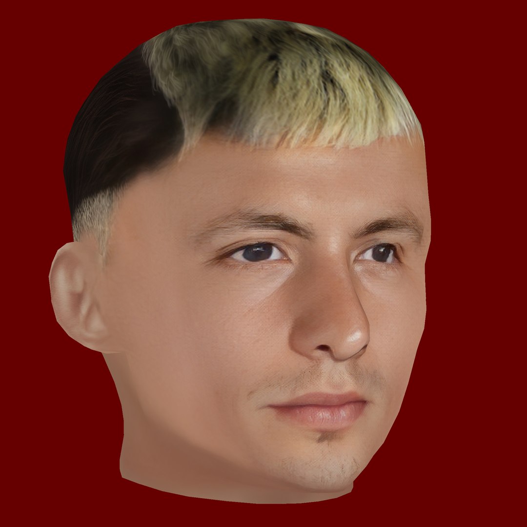 Lisandro Martinez Head - Low Poly Head For Game 3D Model - TurboSquid ...