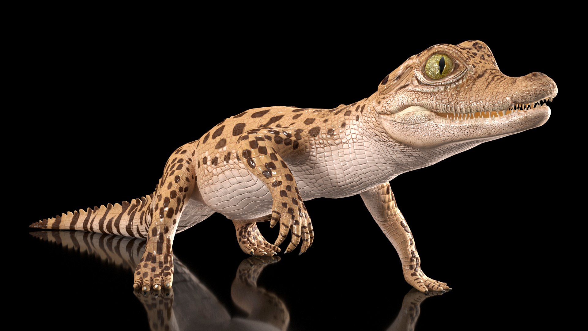 Baby Crocodile Light Color Rigged Model - TurboSquid 1896730