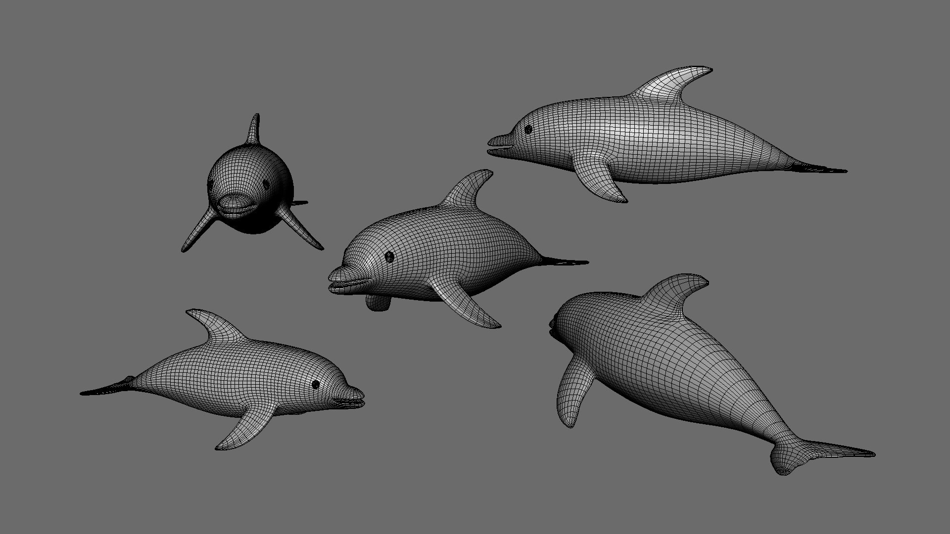 3D Low Poly - Cartoon Dolphin 1 Rigged Model - TurboSquid 2380714