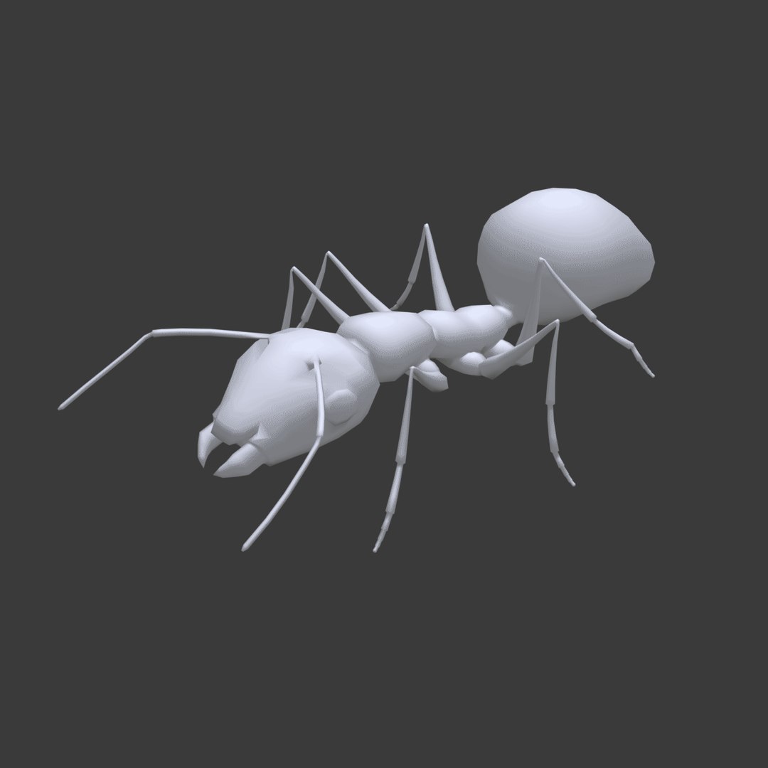 3D Ant Rigged Animations - TurboSquid 1588723