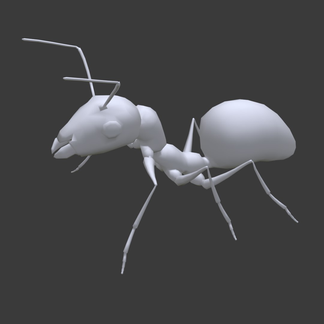 3D Ant Rigged Animations - TurboSquid 1588723