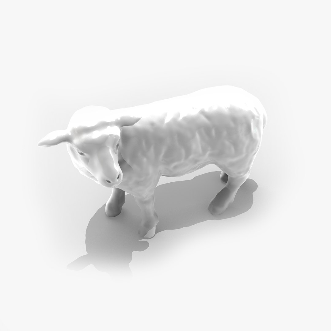 3D Sheep - TurboSquid 604231
