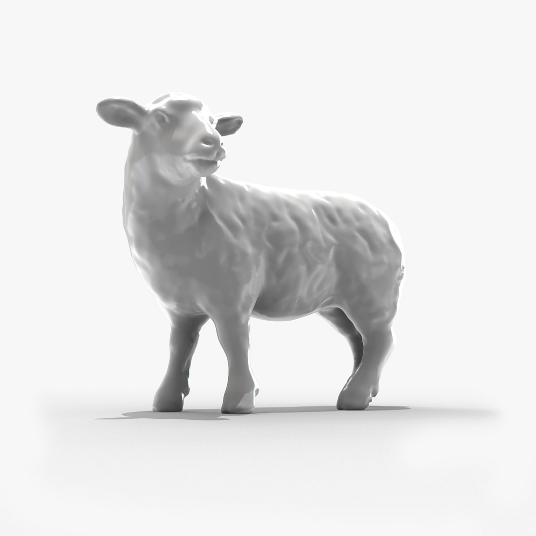 3D 3ds Max sheep lamb cattle