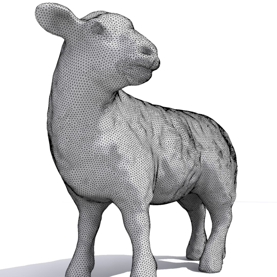 3D Sheep - TurboSquid 604231