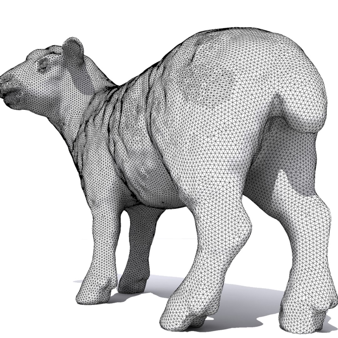 3D Sheep - TurboSquid 604231