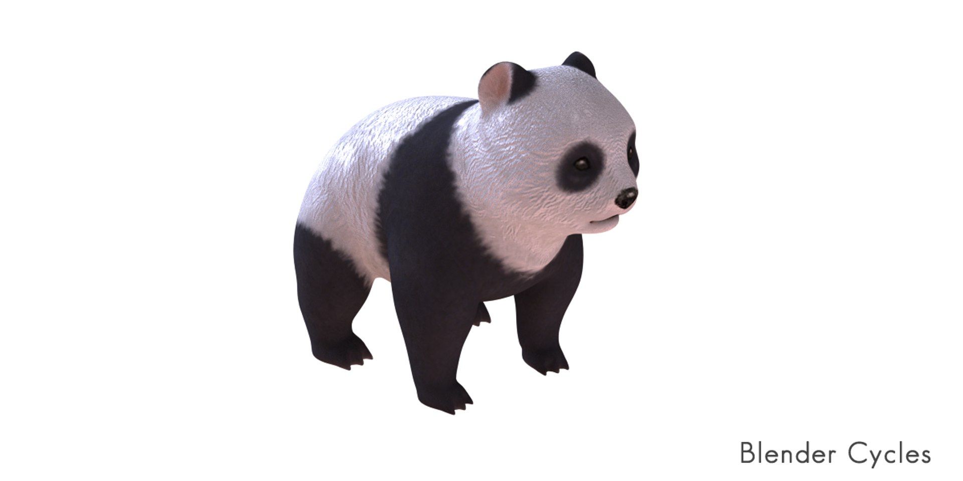 3d Panda Blender Model