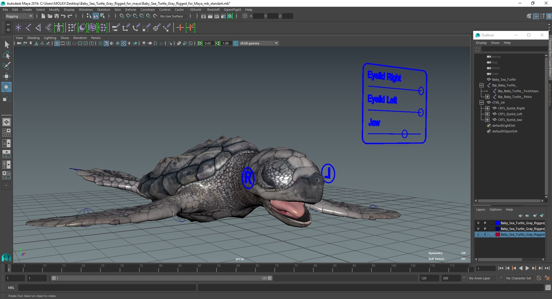 Baby Sea Turtle Gray Rigged For Maya 3D Model - TurboSquid 2205420