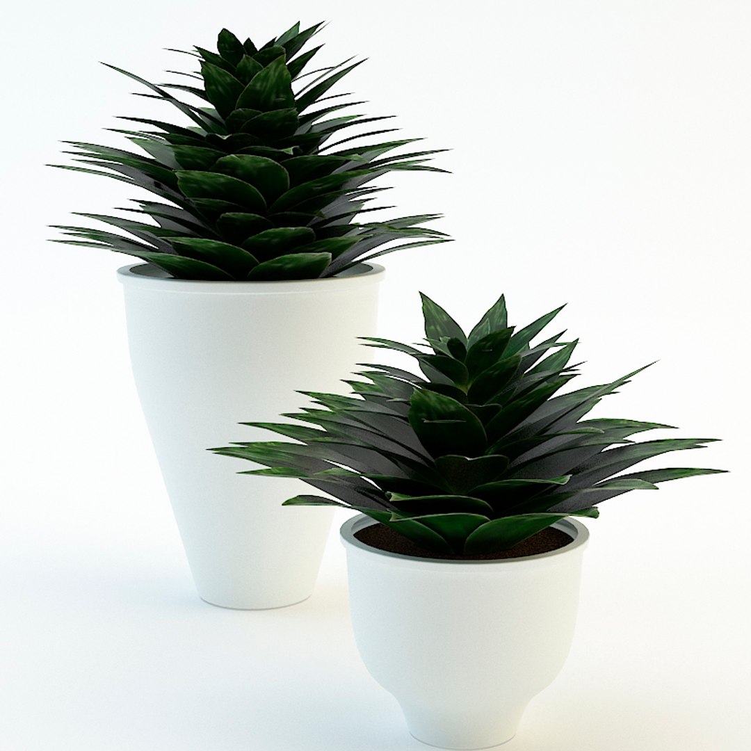 Max Forest Flowers Plants