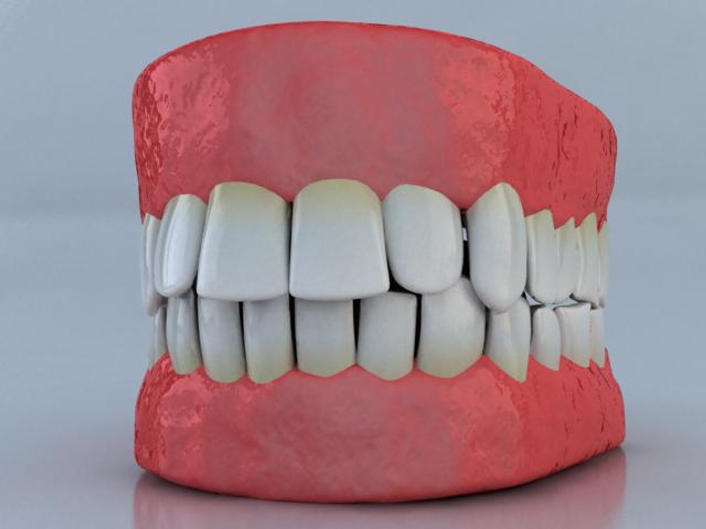 3d model set teeth