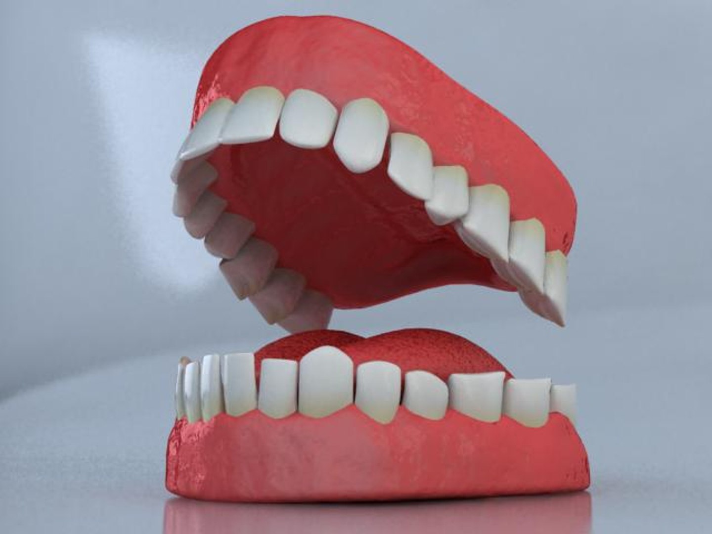 3d model set teeth