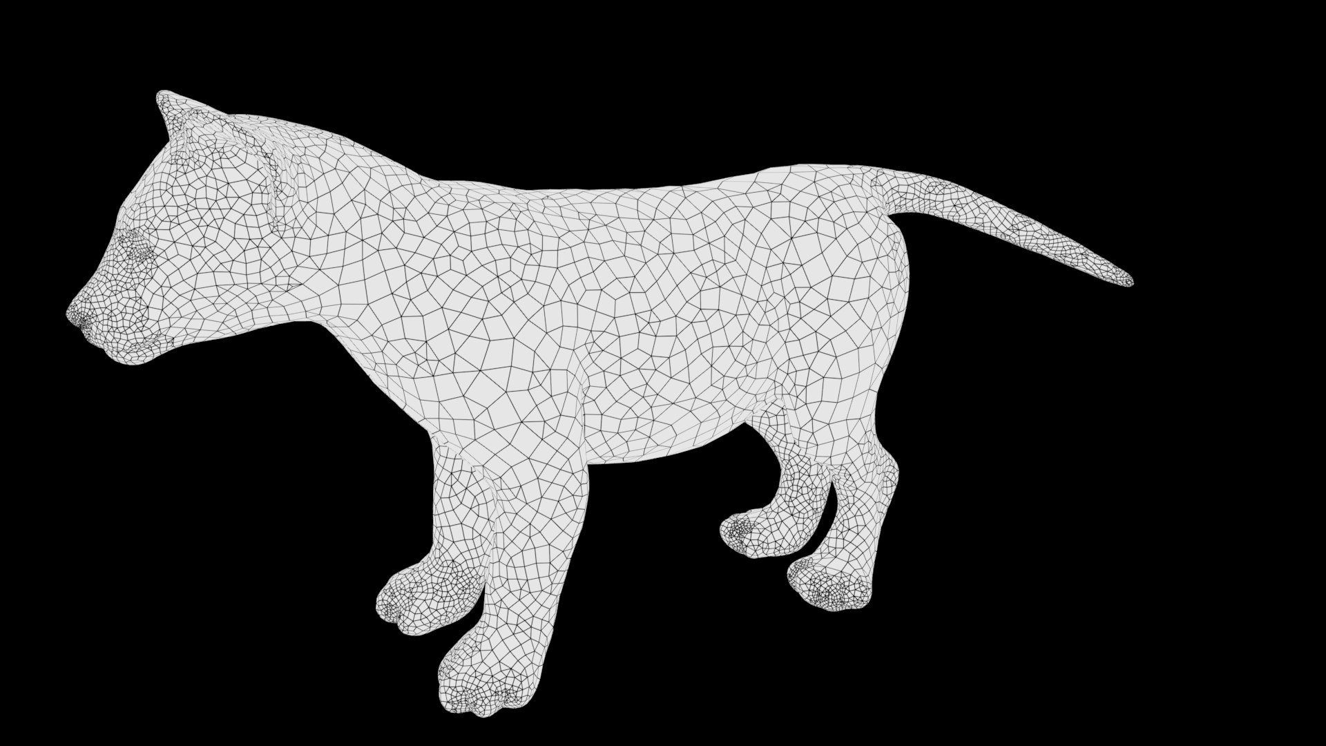 Lion Baby 3D Model - TurboSquid 1606664