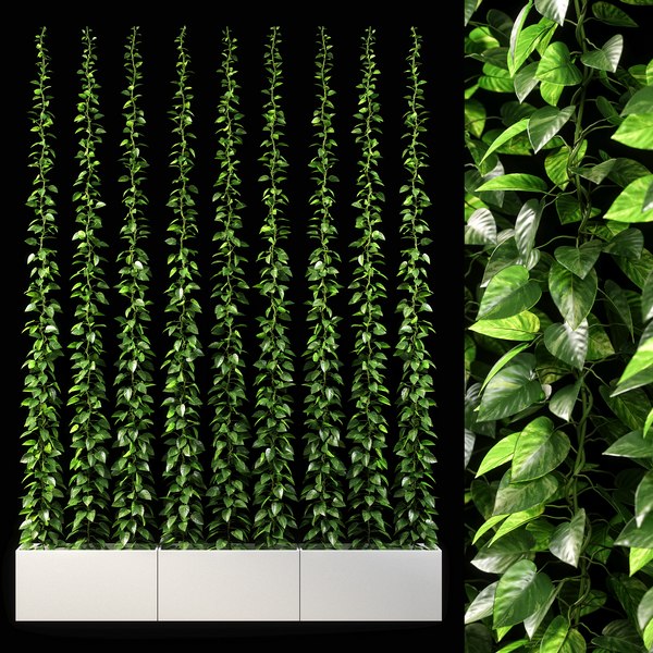 3D partition plant - TurboSquid 1234718