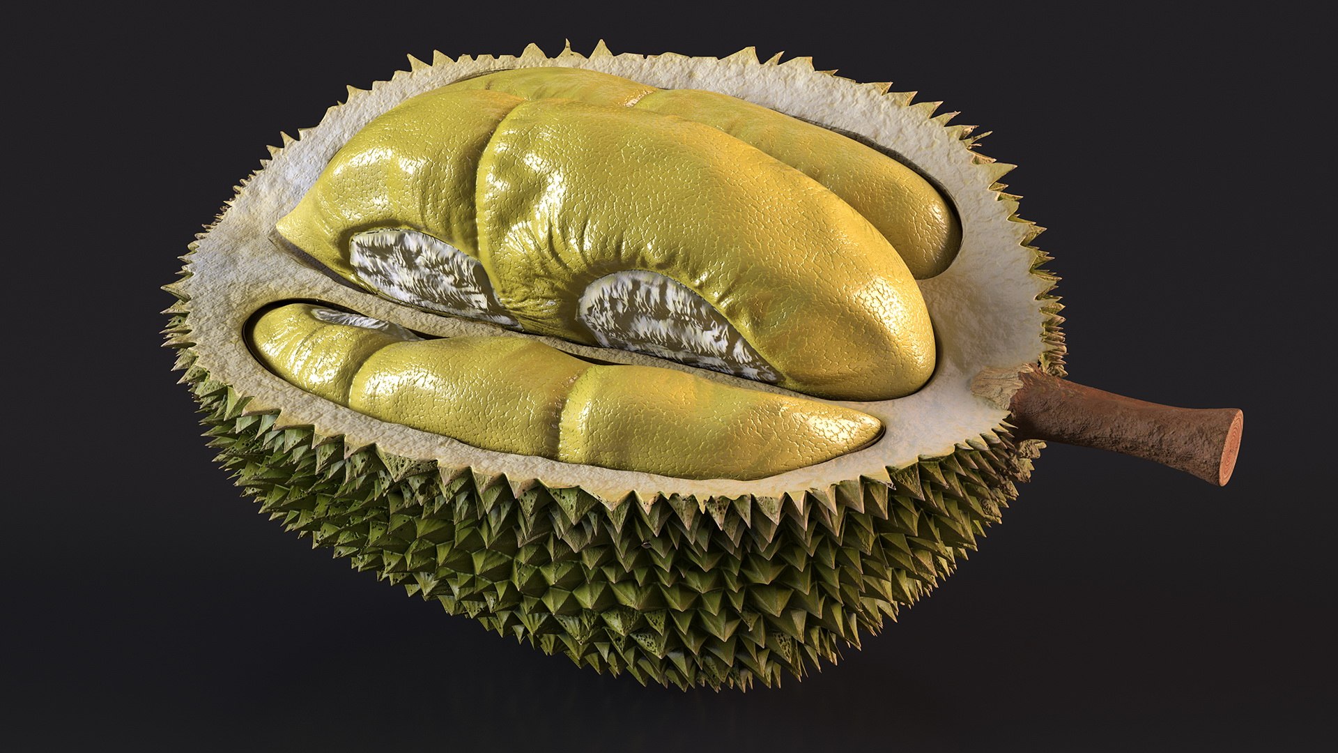 3D model Durian Fresh Cut in Half - TurboSquid 2081003