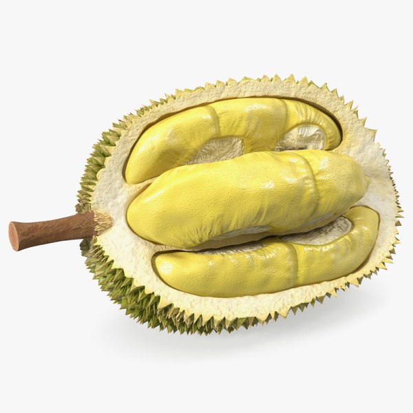 modelo 3d Durian recién cortado por la mitad - TurboSquid 2081003