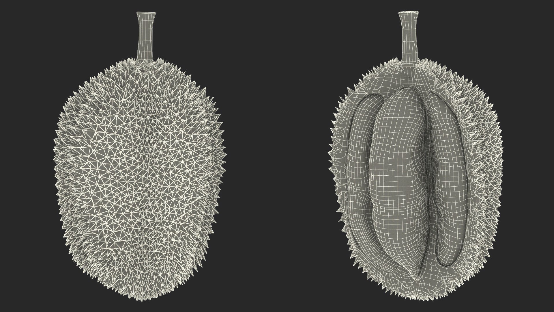 3D Model Durian Fresh Cut In Half - TurboSquid 2081003