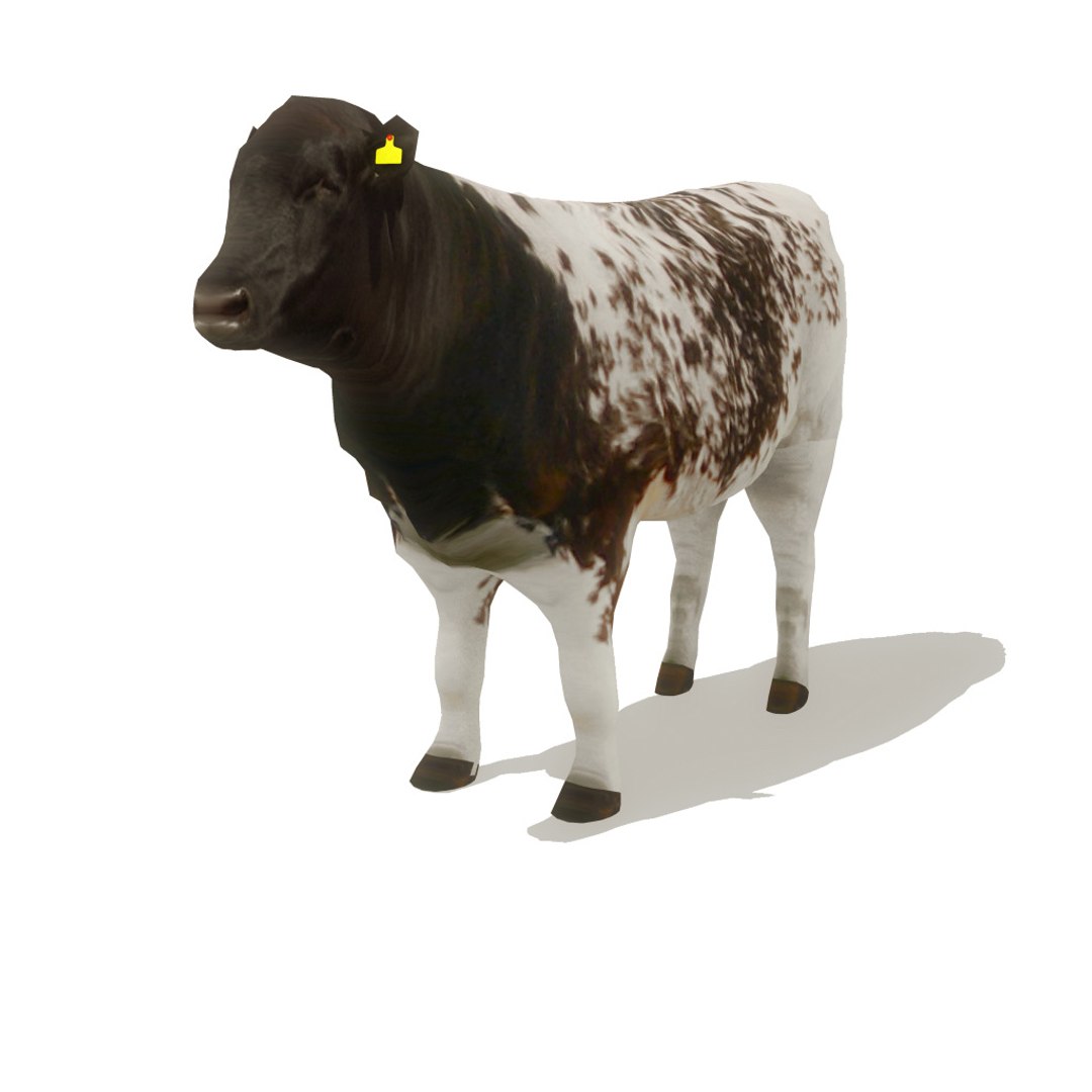 Brown Cow Obj