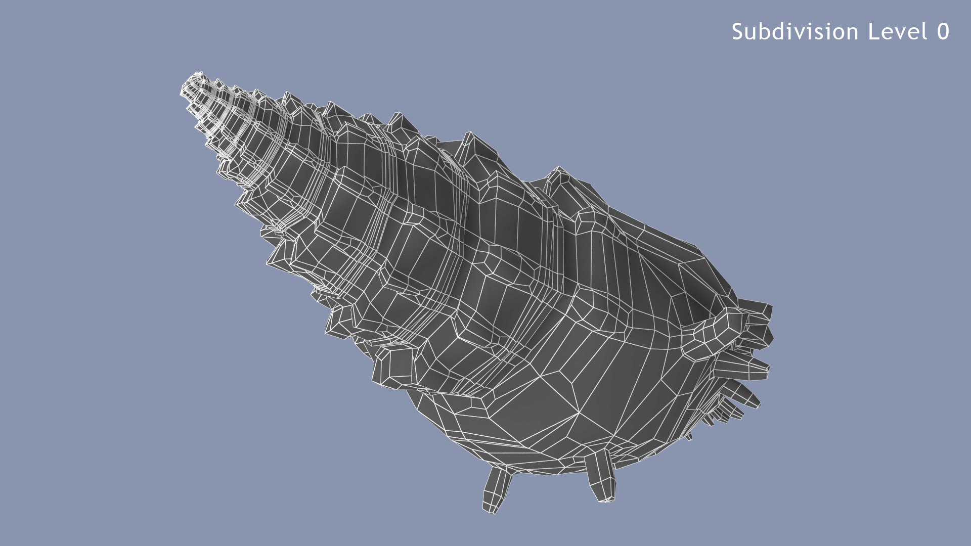 Sea Shell 01 01 Model - TurboSquid 1736204