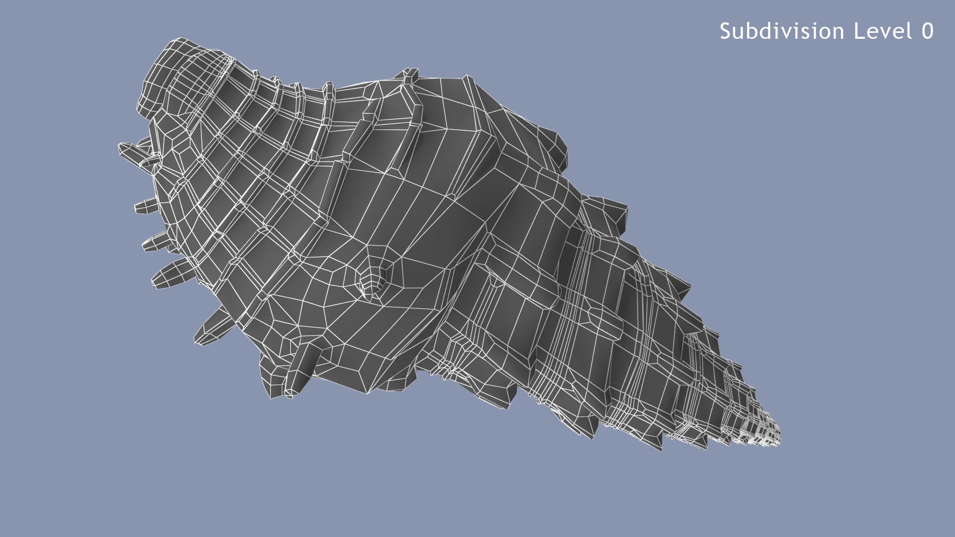 Sea Shell 01 01 model - TurboSquid 1736204