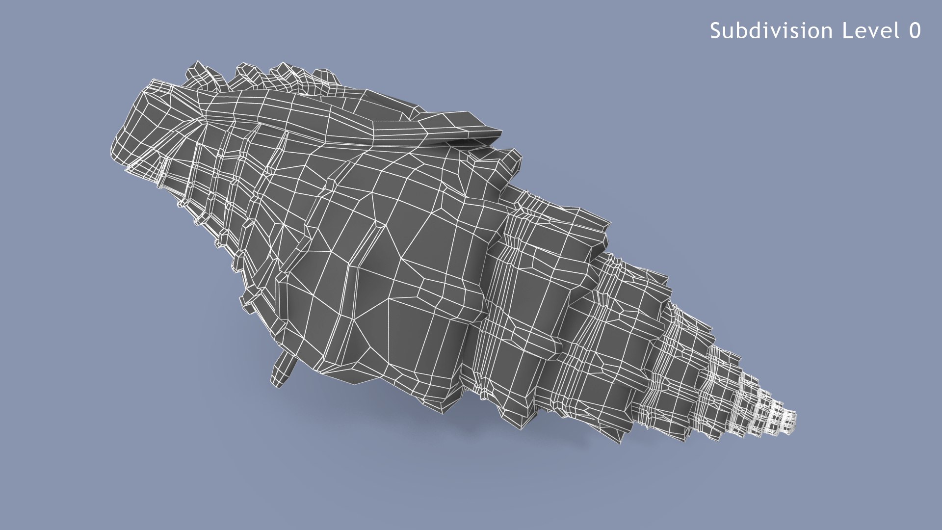 Sea Shell 01 01 Model - TurboSquid 1736204