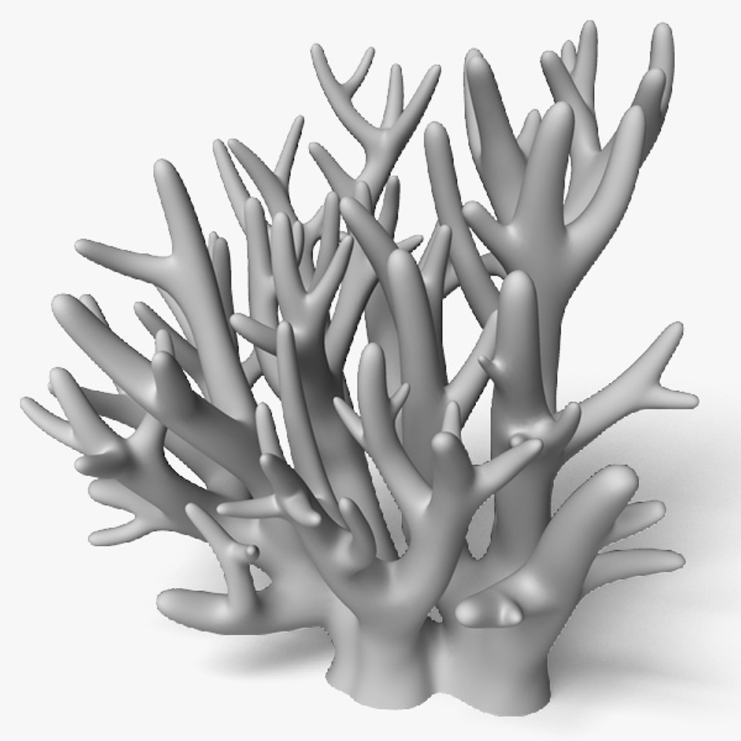 3d Model Coral