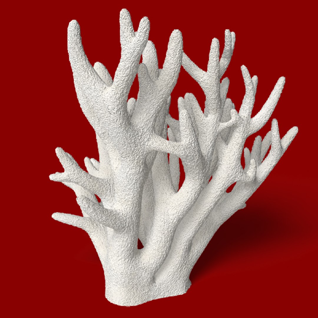 3d Model Coral