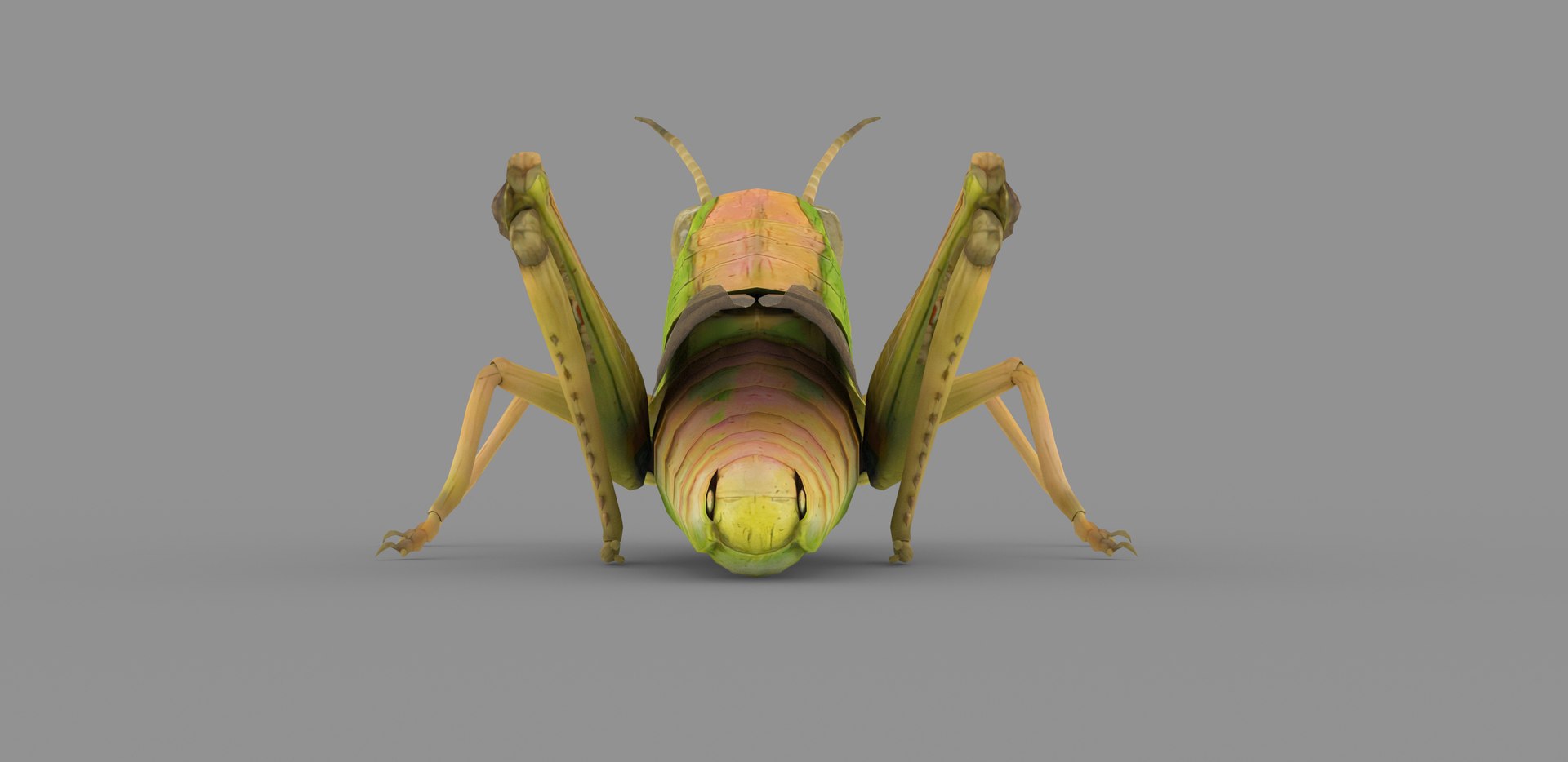 3D Grasshopper Model - TurboSquid 2078170