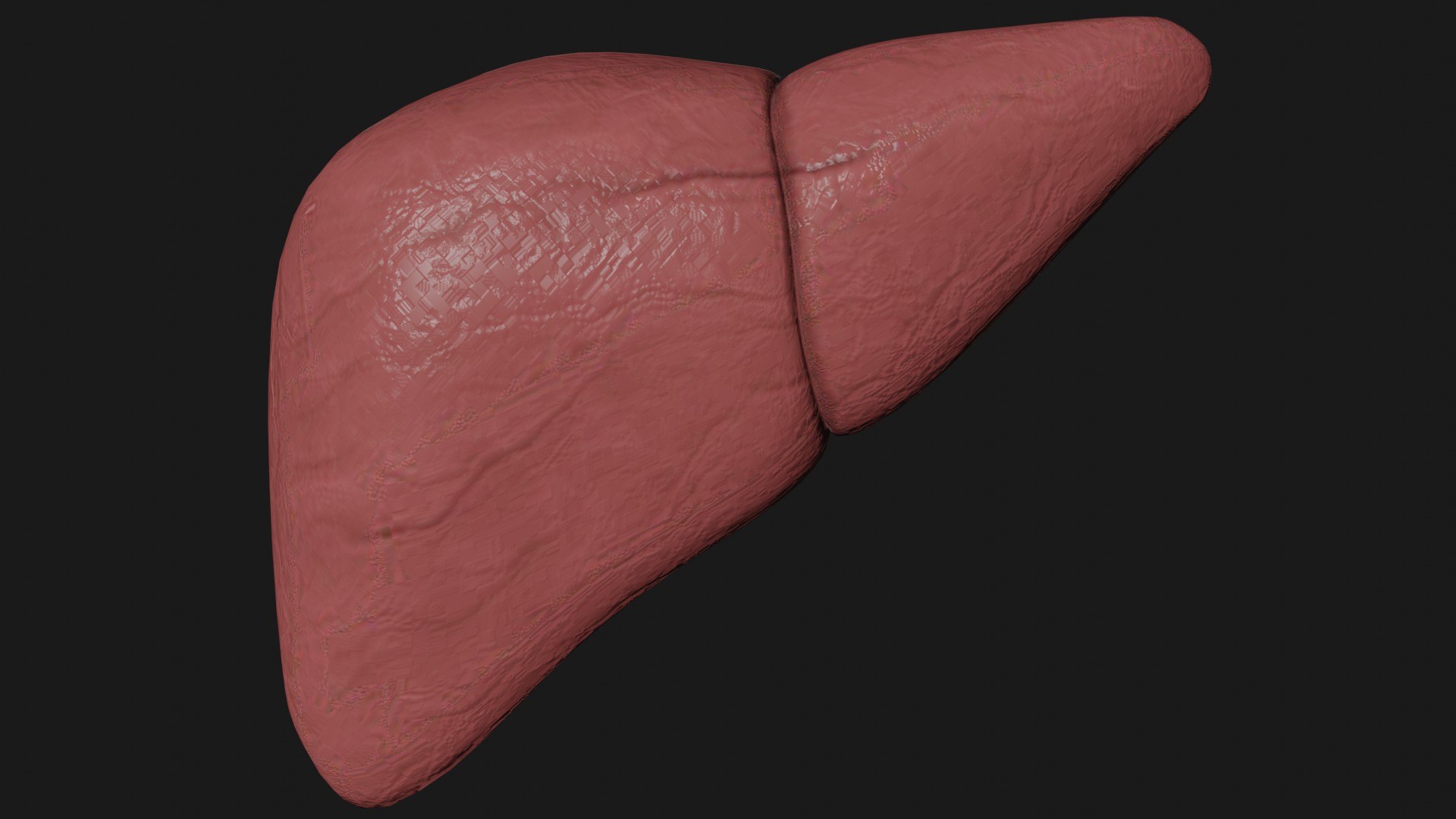 Liver Science 3D Model - TurboSquid 1673350