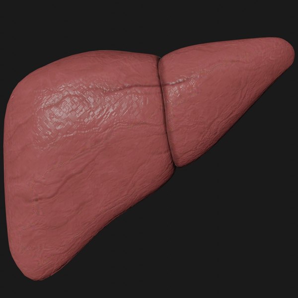 Liver science 3D model - TurboSquid 1673350