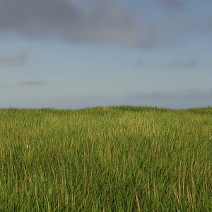 Blender Grass Models | TurboSquid