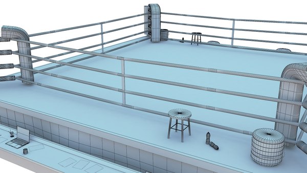Boxing ring punching bag 3D model - TurboSquid 1665319