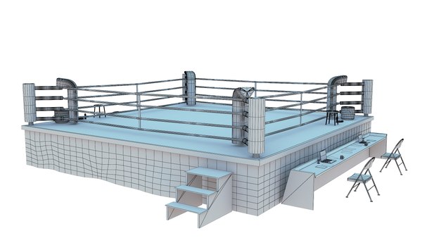 Boxing ring punching bag 3D model - TurboSquid 1665319