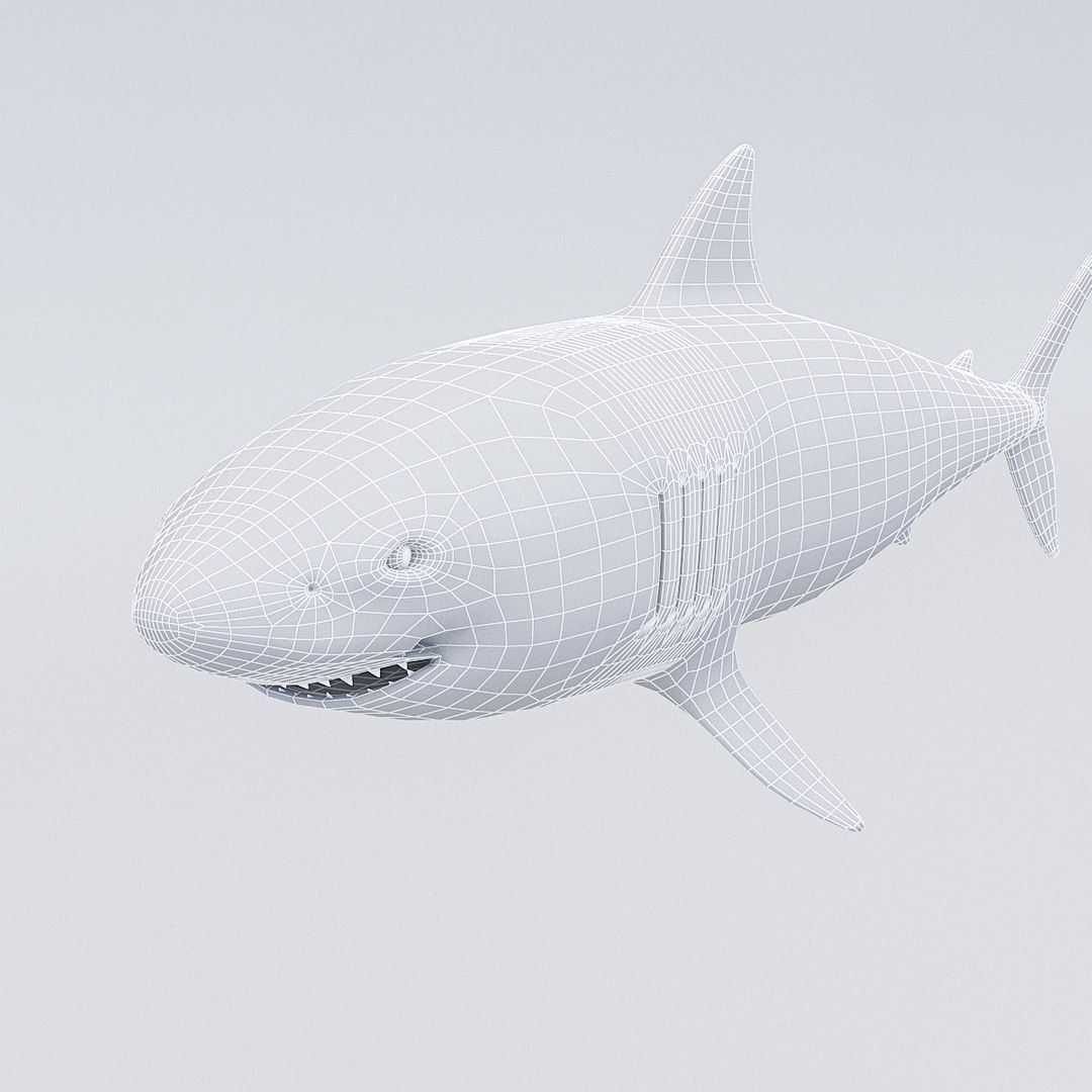 3D Shark Rigged - TurboSquid 1560398