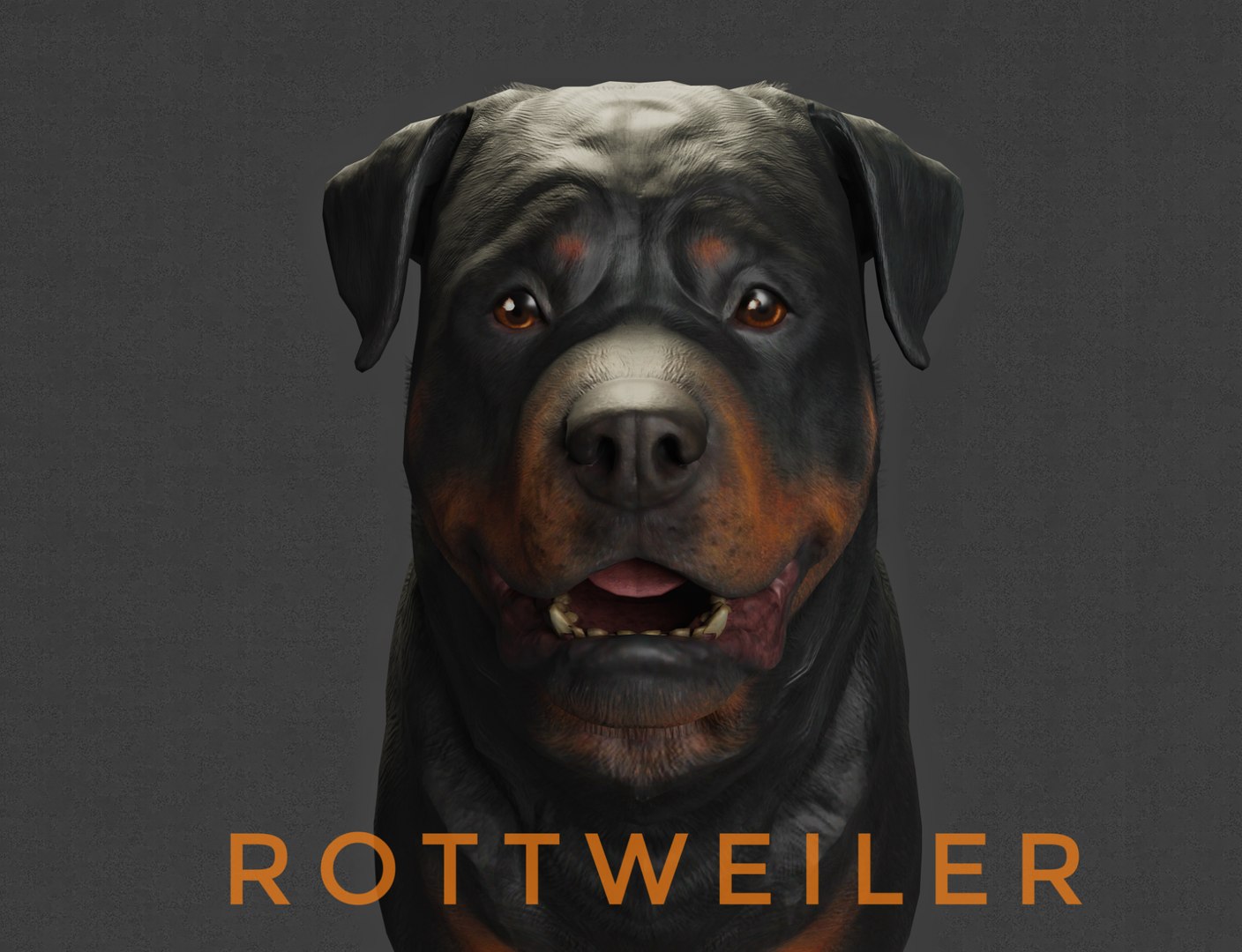 3D DOG - ROTTWEILER Model - TurboSquid 2030829
